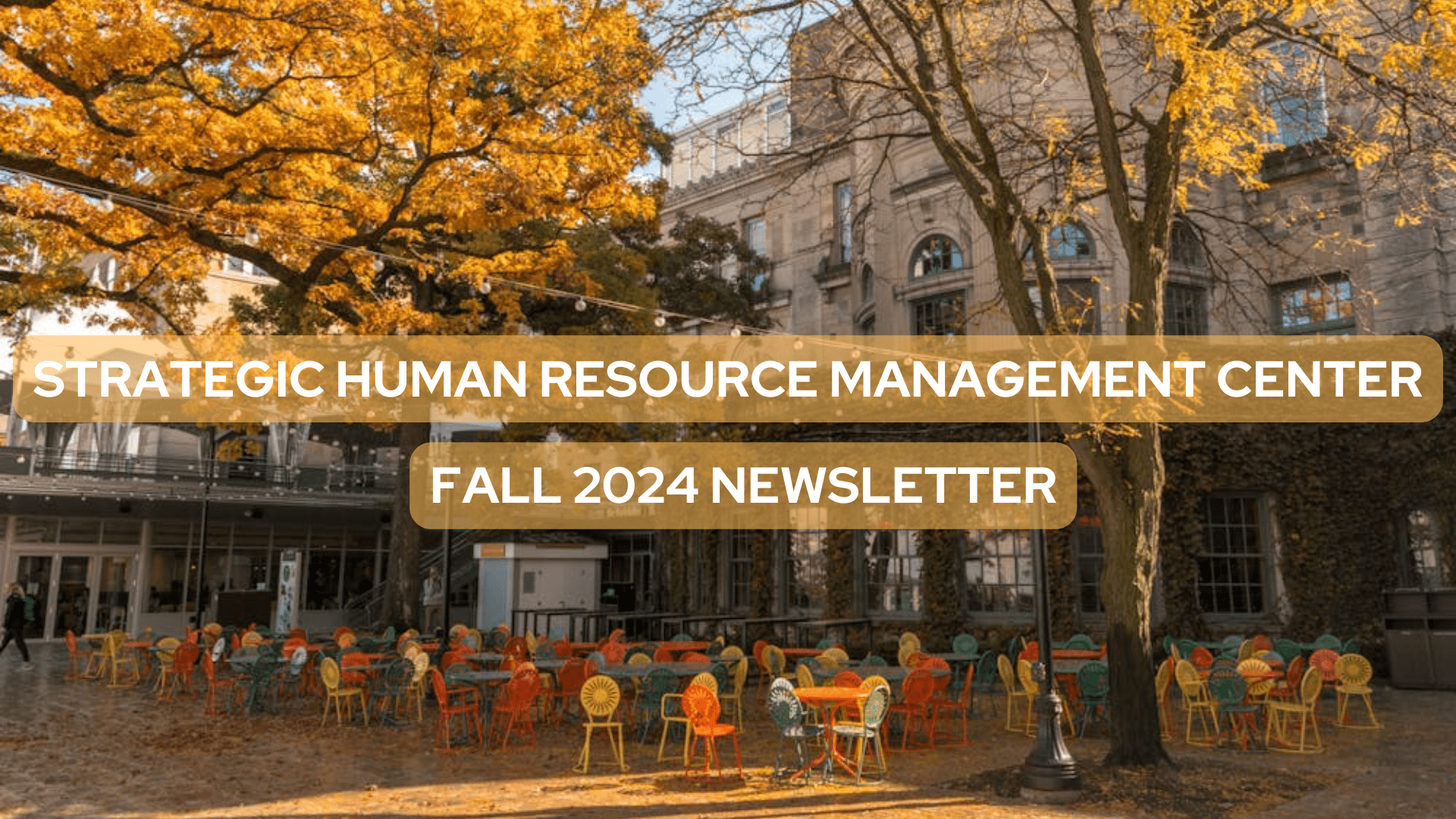 Fall 2024 Newsletter | Wisconsin School of Business